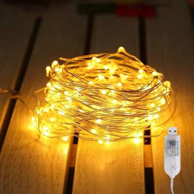 China 5m USB Powered String Lights Warm White Fairy Lights For Party Decoration for sale