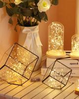 China 5m USB Powered String Lights Warm White Fairy Lights For Party Decoration for sale