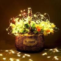 China Bedroom IP67 Led Fairy Lights Plug In Colors Changing String Lights With Remote Control for sale