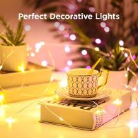 China Waterproof Warm White Firefly Lights For Indoor Decoration Dimmable Remote Control for sale