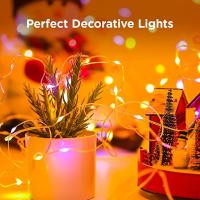 China Waterproof Warm White Firefly Lights For Indoor Decoration Dimmable Remote Control for sale