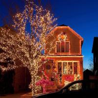 China Warm White Solar String Lights Outdoor Waterproof Solar Fairy Lights For Tree Christmas for sale