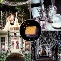 China Daylight White Solar LED String Lights Waterproof Outdoor Twinkle Lights For Balcony for sale