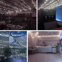 China Cold White 100pcs LED Solar String Lights 1W For Garden 2 Years Warranty for sale