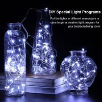 China Party Battery Operated Christmas Lights With Remote Waterproof White Fairy Lights for sale