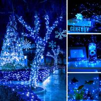 China Battery Operated Blue String Lights 100 LED Copper Wire Twinkle Lights For Christmas DIY Decor for sale