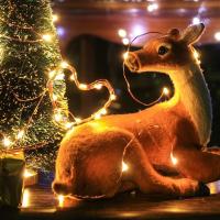 China IP44 Battery Copper Wire String Lights For DIY Home Vase Jar Holiday Decor for sale