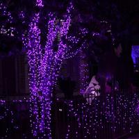 China Purple Bright Copper Wire Battery Operated Waterproof Lights Christmas Decorations for sale
