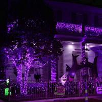 China Purple Bright Copper Wire Battery Operated Waterproof Lights Christmas Decorations for sale