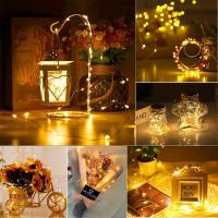 China Battery Powered Copper Wire Mini Firefly Twinkle Lights Strip For Garden Festival Decor for sale