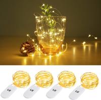 China 1m Decorative Fairy Light Battery Operated Warm White Micro Starry For Mason Jar Craft for sale