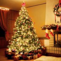 China 240V Warm White Christmas Fairy Lights With Remote Plug In Copper Wire Lights for sale