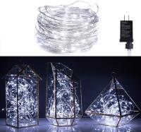China 100 LED Cold White Firefly String Lights Waterproof On Silver Coated Copper Wire For Christmas Decorations for sale