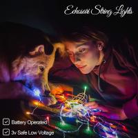 China 4.5V Battery Operated Christmas Lights With Remote Timer Dimmable LED Fairy String Lights for sale