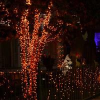 China Bright Orange Copper Wire Fairy String Lights Battery Operated Halloween Decorations for sale