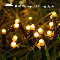 China 30V 5M Warm White Christmas String Lights Outdoor Connectable For Indoor Xmas Decor for sale