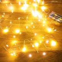 China Starry Firefly Warm White Battery Copper Wire Lights For Parties Indoor Decor for sale