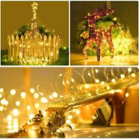 China Starry Firefly Warm White Battery Copper Wire Lights For Parties Indoor Decor for sale