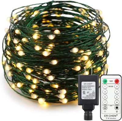 China 20M Green Copper Wire Lights Remote Control Warm White Led String Lights 200 Led Starry Lights for sale