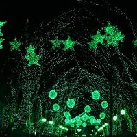 China Green Twinkle Star Outdoor Solar String Lights 800MAH Battery For Yard Wedding Party for sale