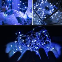 China IP65 Battery Copper Wire Lights Silver Wire 7 Feet 20 Led Firefly Starry Moon Lights For Party for sale