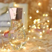 China Warm White 20 LED Mini String Lights Waterproof Copper Wire Firefly Starry Lights for sale