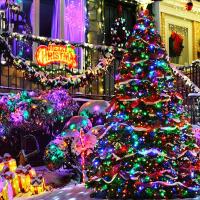 China 10m Solar Christmas String Lights Twinkle Modes Multicolor For Outdoor Tree for sale