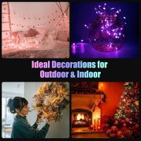 China Silver Copper Wire RGB String Lights Color Changing Battery Operated With Remote for sale