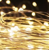China 100 LED Outdoor Copper Wire Lights 10m 100V Warm White Fairy Lights Plug In for sale