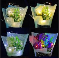 China Indoor Battery Operated Christmas Lights 6V IP44 100 LED With Remote for sale