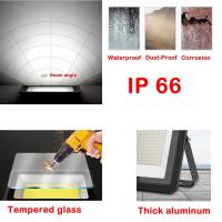 China 265V 30000LM Solar Garden Flood Lights 300W Waterproof Landscape Light for sale