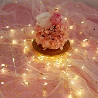China 28V Outdoor Battery Operated Multicolor String Lights IP44 30m Length for sale
