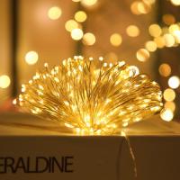 China Indoor IP65 Battery Operated Copper Wire Lights 20 LED 2m 5V For Christmas for sale