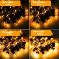 China Edison Balcony Solar Festoon Outdoor Lights 15 Bulb 24V UL Listed for sale