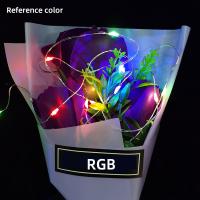 China Halloween String 1.5V Battery Powered Remote Control Fairy Lights 30m for sale