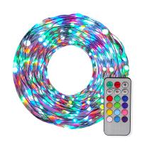China Multicolor Outdoor Copper Wire String Lights 3M Length CR2032 for sale
