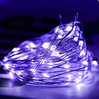 China 30 LED Copper Fairy Lights Battery Operated USB CR2032 3M DC 5V for sale