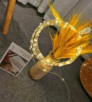 China IP65 Plug In Copper Wire Lights 400 LED 40m Length Fairy Lights For Bedroom for sale