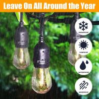 China 25 Bulbs Waterproof Outdoor Festoon Lights 240V Ambiance Patio For Wedding for sale