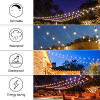 China Vintage Style Outdoor LED Festoon Lights Waterproof Ambiance Patio for sale