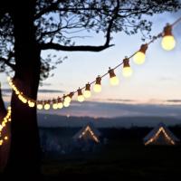 China IP44 Waterproof Commercial Outdoor LED Festoon Lights IP65 24V 1w Heavy Duty for sale