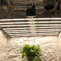 China Vegetable Seedling Hydroponics LED Grow Lights SMD 800w 2.8μmol/J for sale