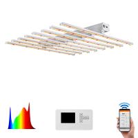 China Vegetable Seedling Hydroponics LED Grow Lights SMD 800w 2.8μmol/J for sale