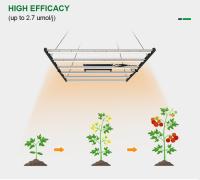 China IP54 Full Spectrum LED Light Bar 800w 2.8 mol/J LED Grow Lamp For Indoor Plants for sale