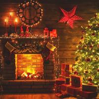 China 220V 60HZ 600 Warm White LED Christmas Lights Outside Garland 60m For Tree for sale