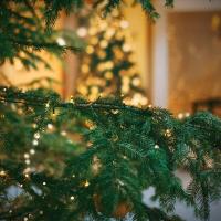 China 220V 60HZ 600 Warm White LED Christmas Lights Outside Garland 60m For Tree for sale