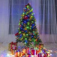 China Green Cable Christmas Lights 600 LED Columbus Day Garland Plug In Multi Colors for sale