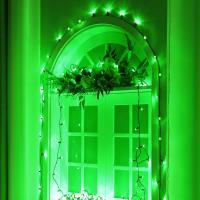 China Indoor Window Blue LED Christmas Tree Lights PVC 600 LED 120V 60M for sale