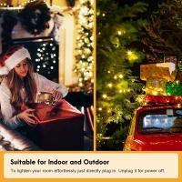 China Outdoor UL588 900 Warm White Christmas Lights 220V Green Cable Fairy Lights for sale
