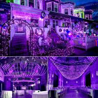 China 70m Length 100V Purple Christmas Lights Outdoor 700 LED Waterproof for sale